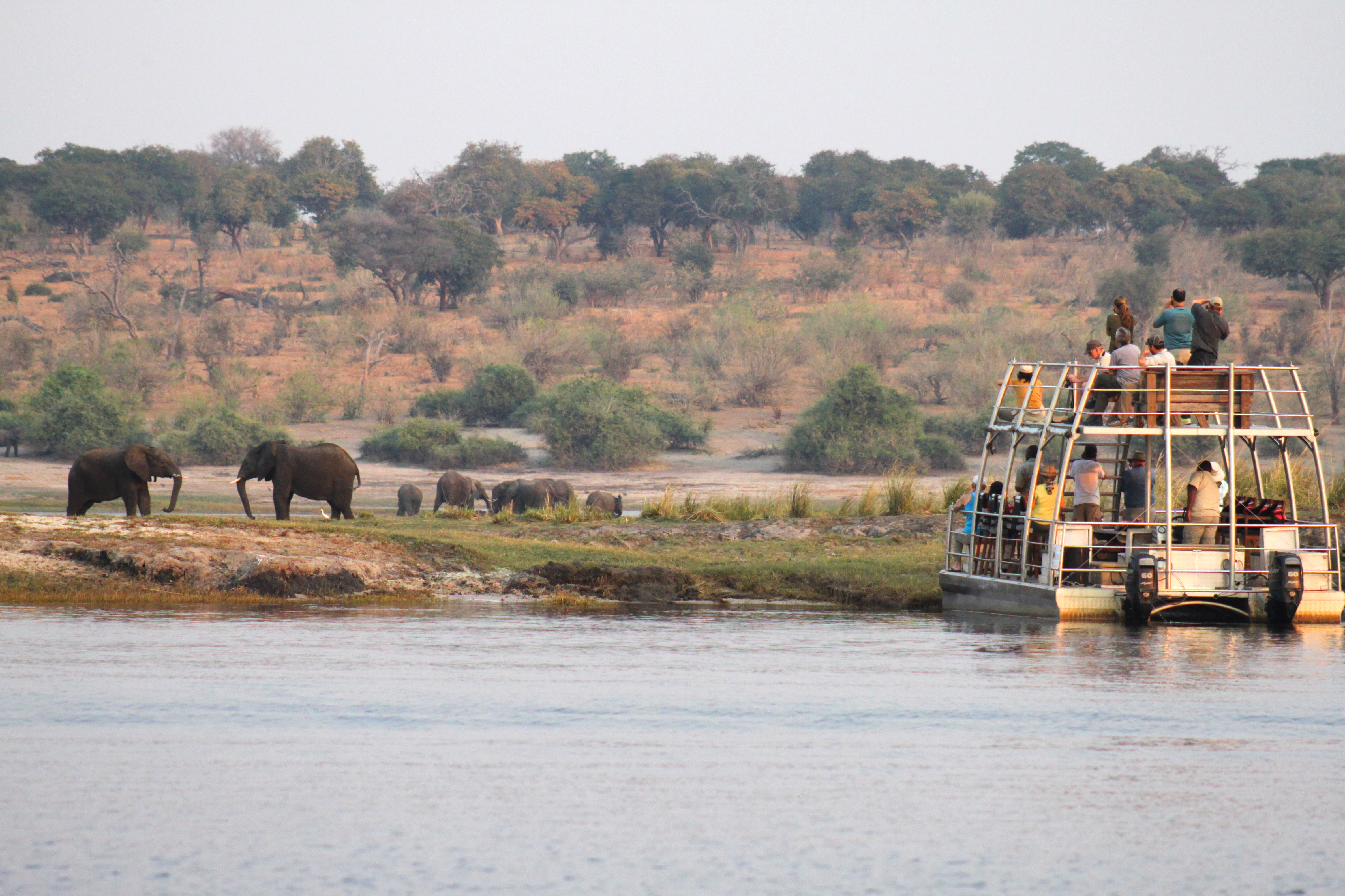 Tlouwana Camp | Chobe Game Lodge | Botswana Safari Lodge